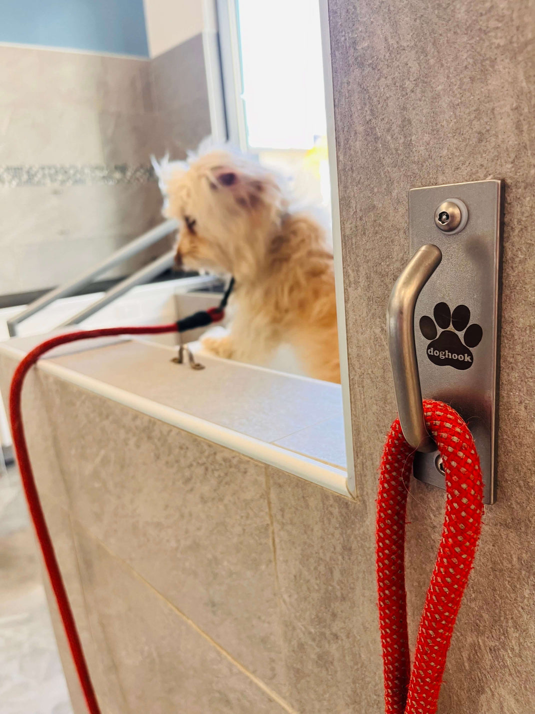 Doghook - Dog Leash Holder For Dogs