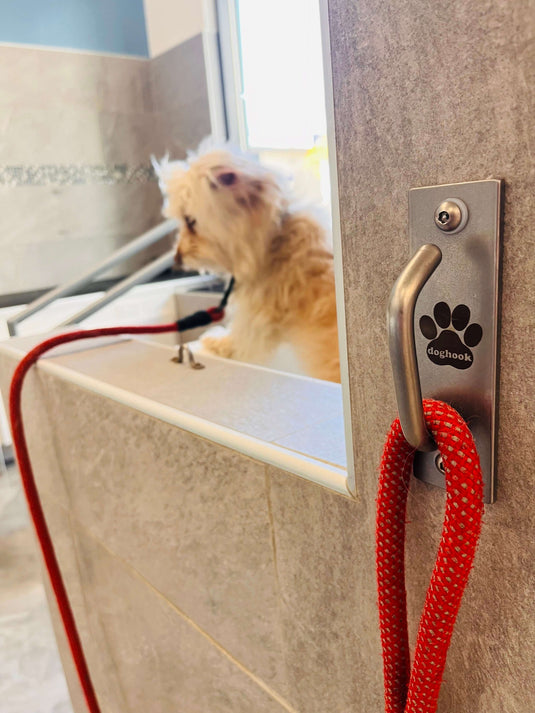 Doghook - Dog Leash Holder For Dogs